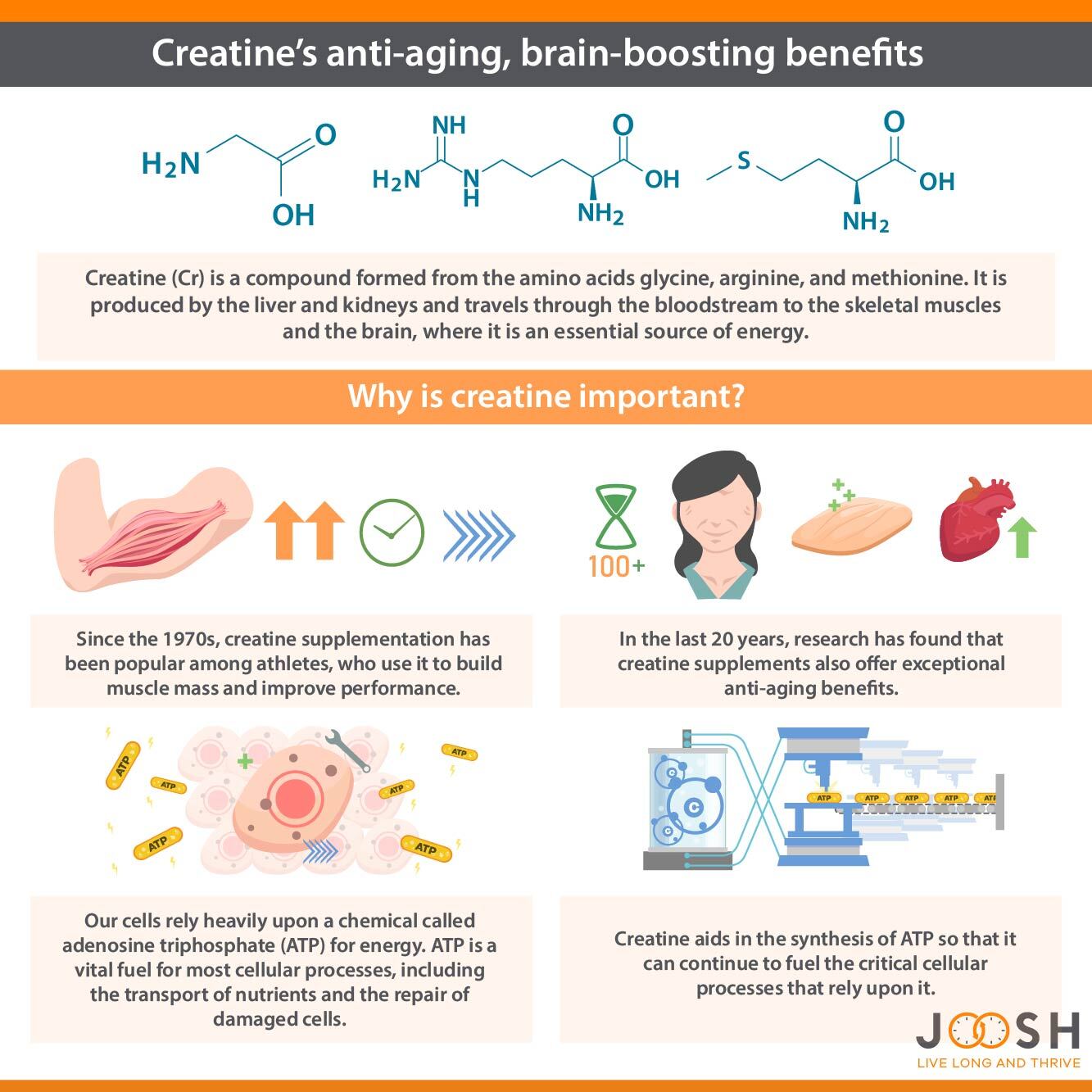 Benefits of creatine supplementation