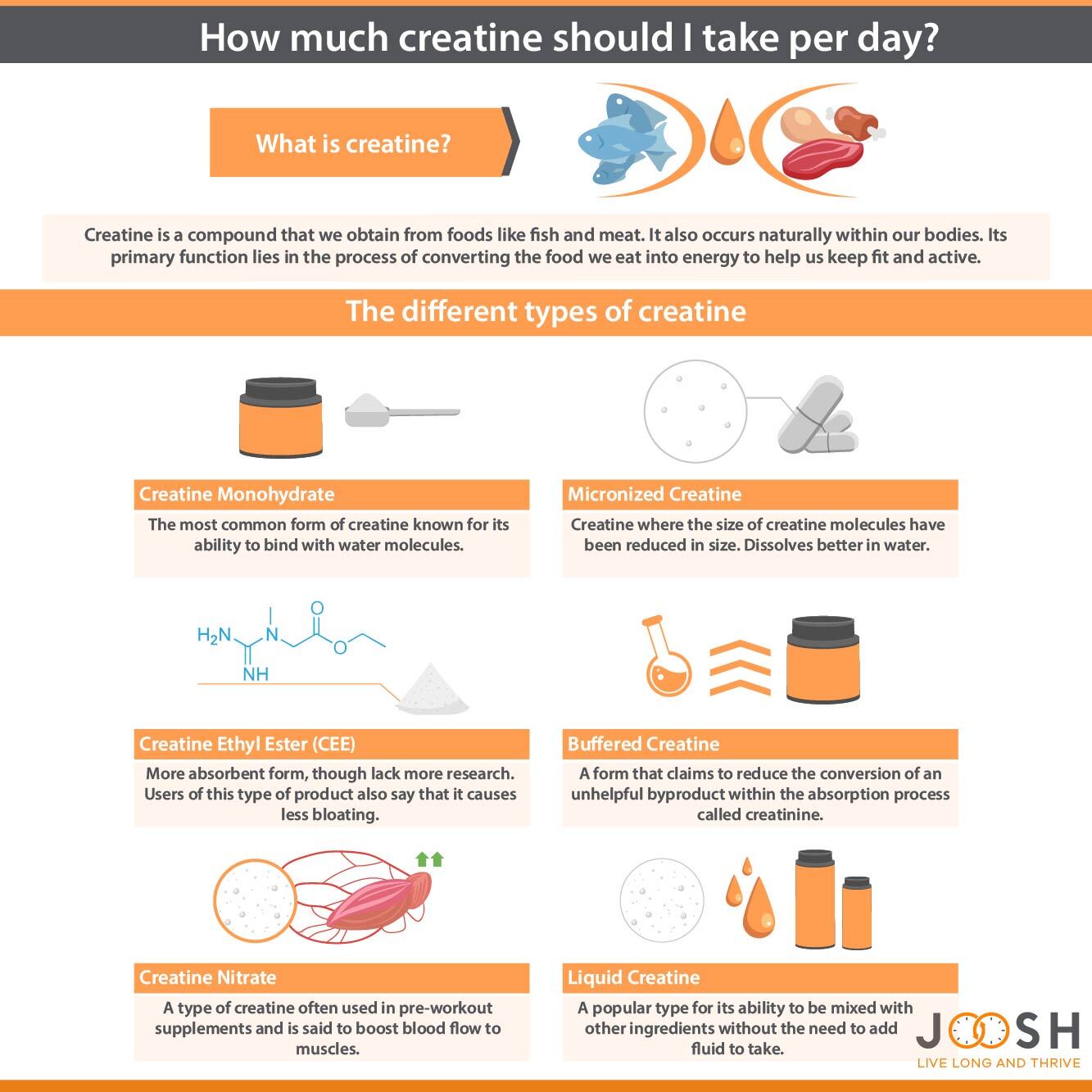 How Much Creatine Per Day? Dosage Guide