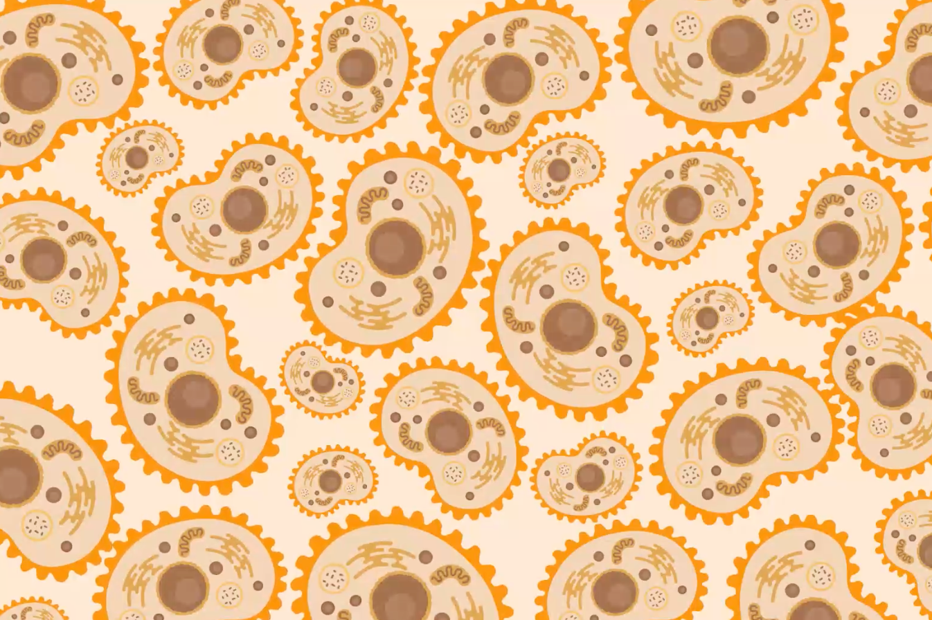 Why Cells Matter: The Foundation of Life